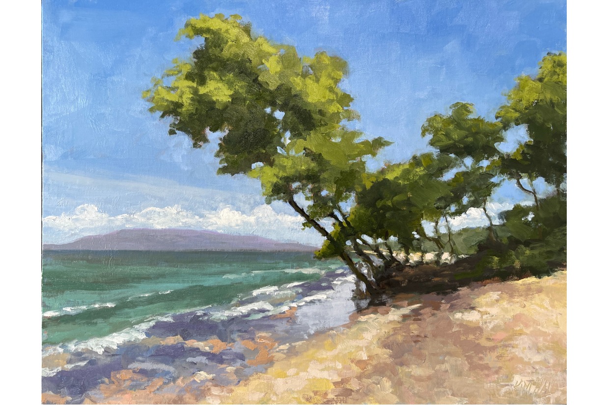 Maui Colors - Kim Hall | Gallery Elua | Artists for Lahaina | BetterWorld