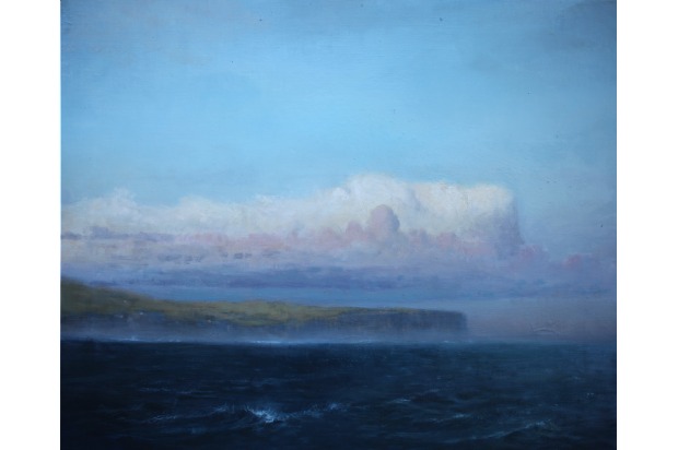 Gallery Elua by Artists for Lahaina | BetterWorld