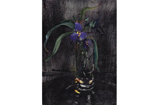 Still Life with Spiderwort - Susan Solomon | Gallery Ekolu | Artists ...