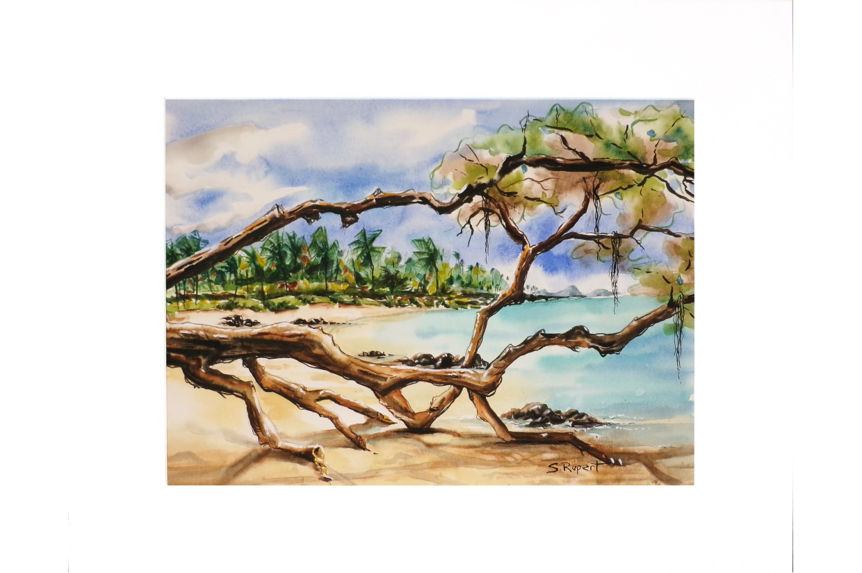 Banyan on Beach - Susan Rupert | Gallery Ekolu | Artists for Lahaina ...