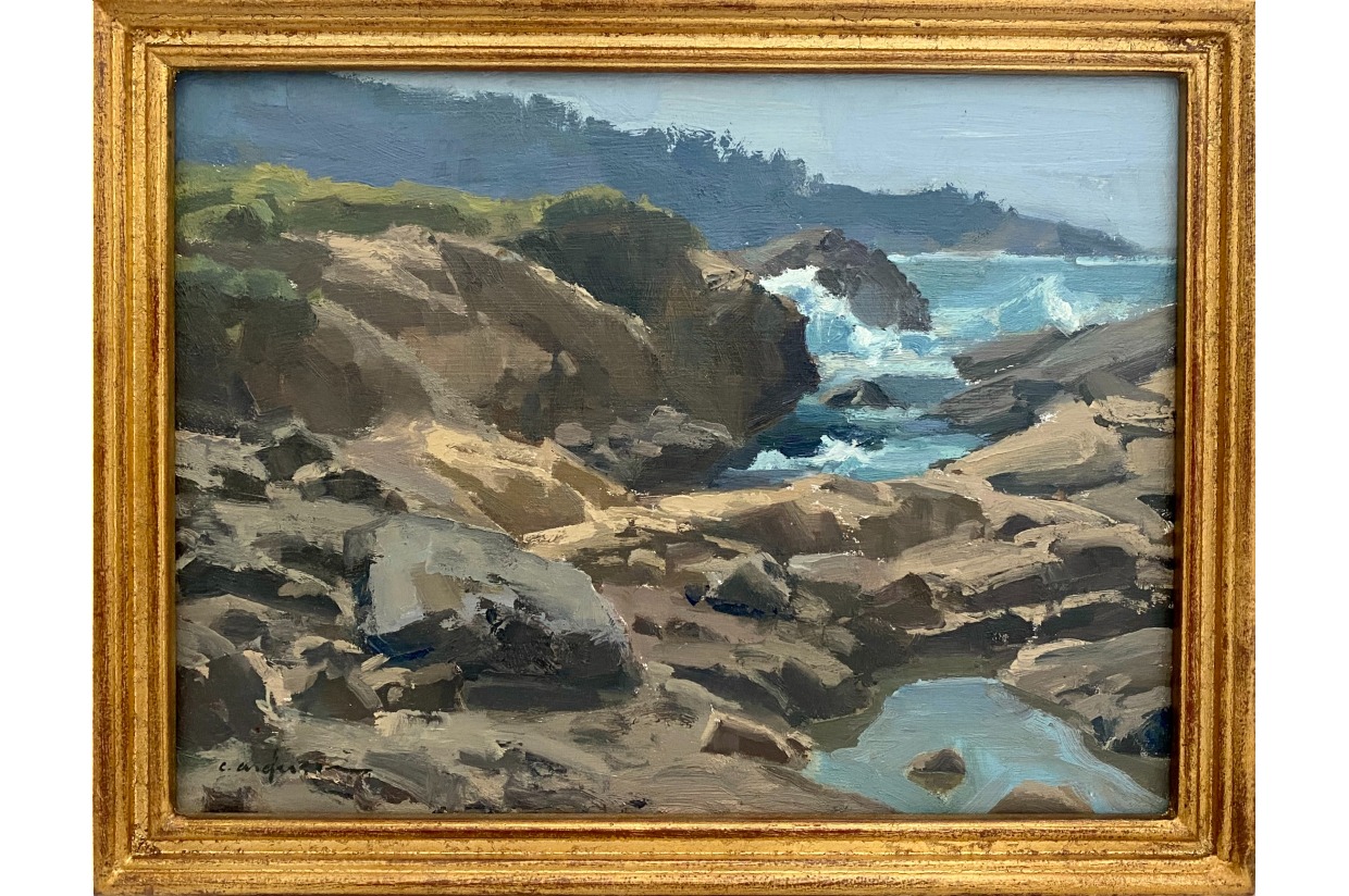 Coastal Sunshine - Charity Anderson | Gallery Elua | Artists for ...