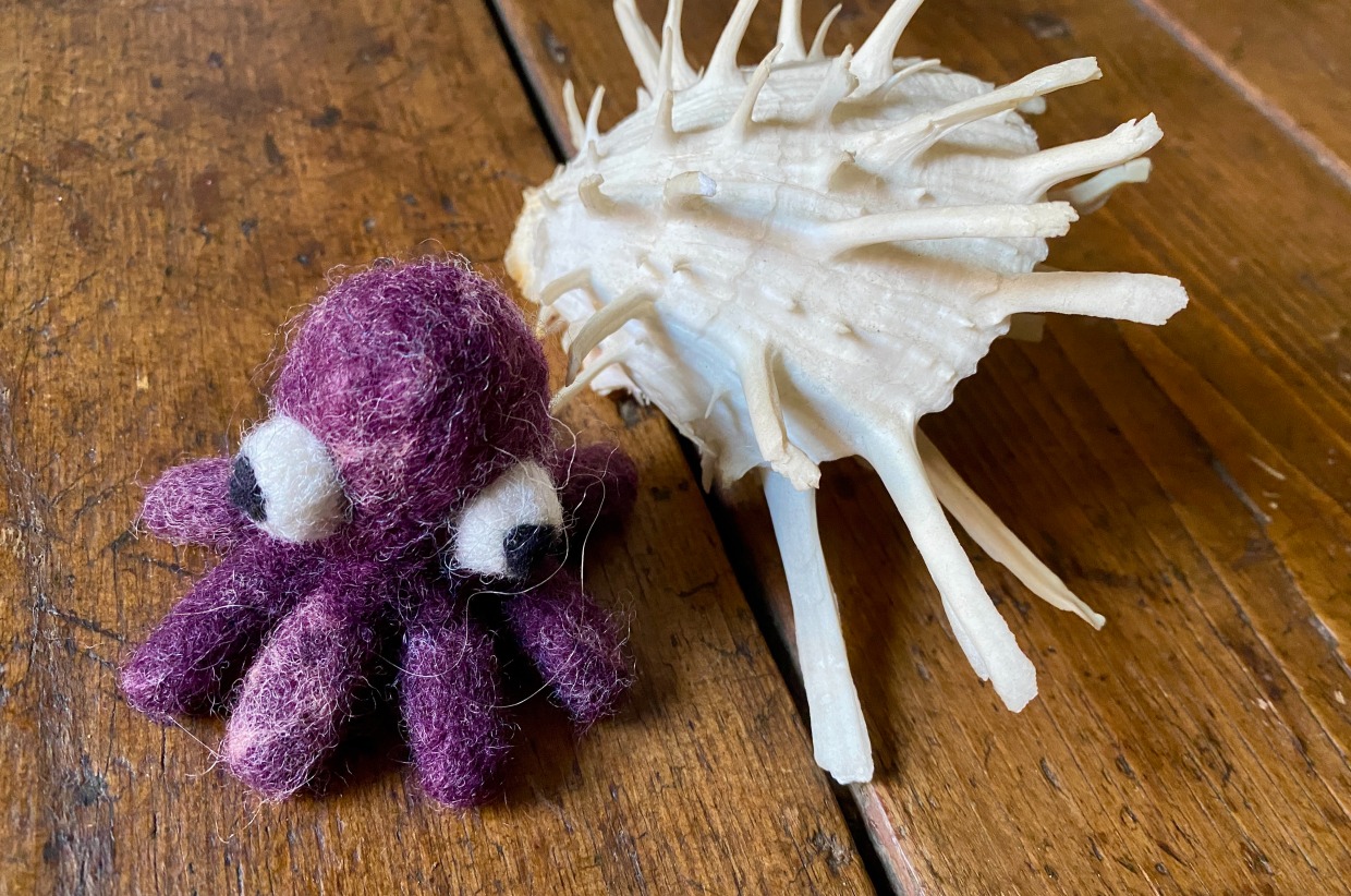 Needle-Felted Googley-Eyed Squid | Ocean Art Festival and Fundraiser ...