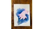 Watercolor Painting: Dumbo Octopus | Ocean Art Festival and Fundraiser ...