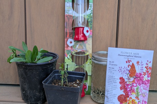 Hummingbird Garden Kit | Rooted in Community: Mount Baker Preschool's ...