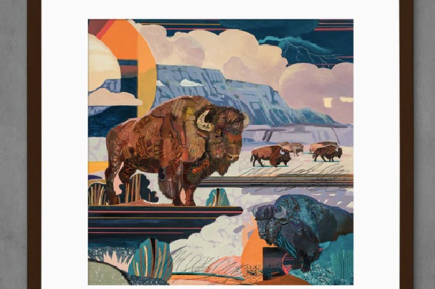 'Rainbow Warriors' by Dolan Geiman | Celebration of the Prairie ...