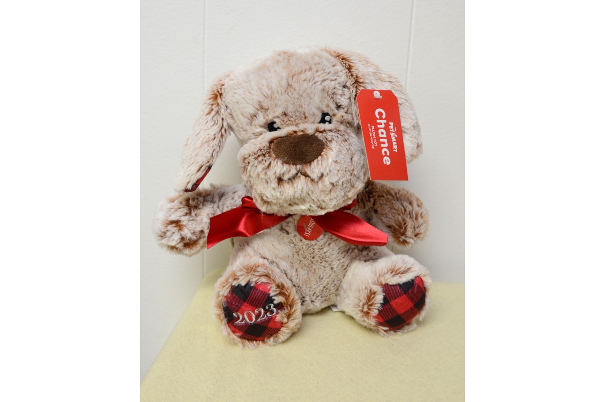 Holiday "Chance" (Dog) Stuffed Animal | PAWS Online Holiday Auction ...