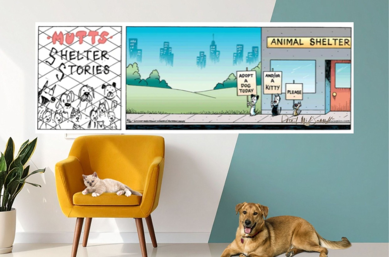 MUTTS - Comic Strip Print Signed by artist, Patrick McDonnell (Est ...