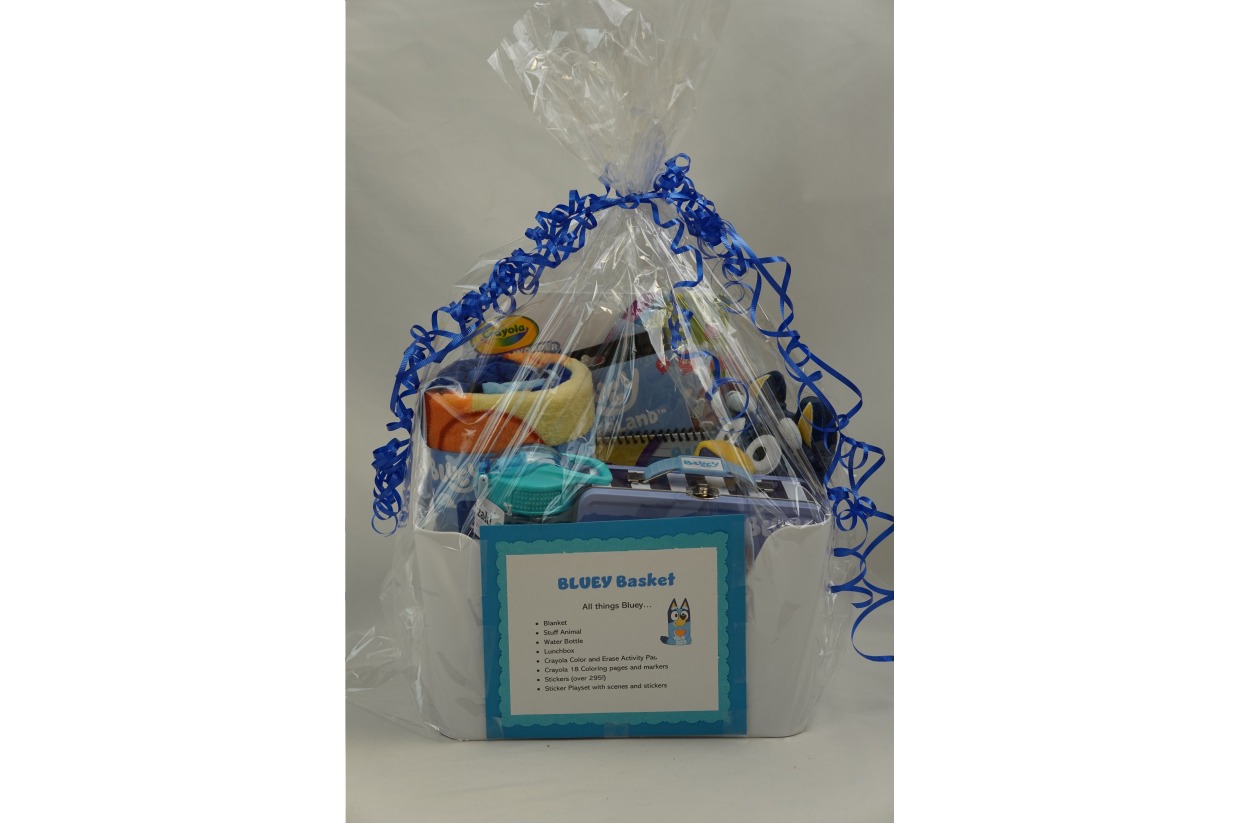 Bluey Basket — 2024 Keller Indianettes Craft Show Silent Auction ...