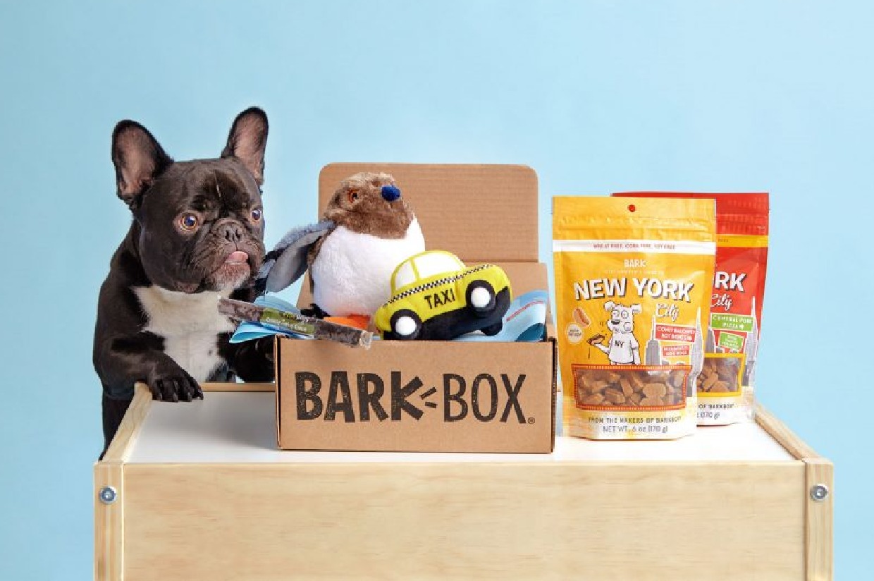 Bark Box - One (1) Free Month (E) | 2024 Champions League Finals Watch ...