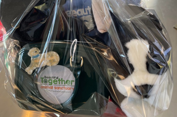 Beautiful Together Kids Basket and Vet Clinic Day | Celebration of Hope ...