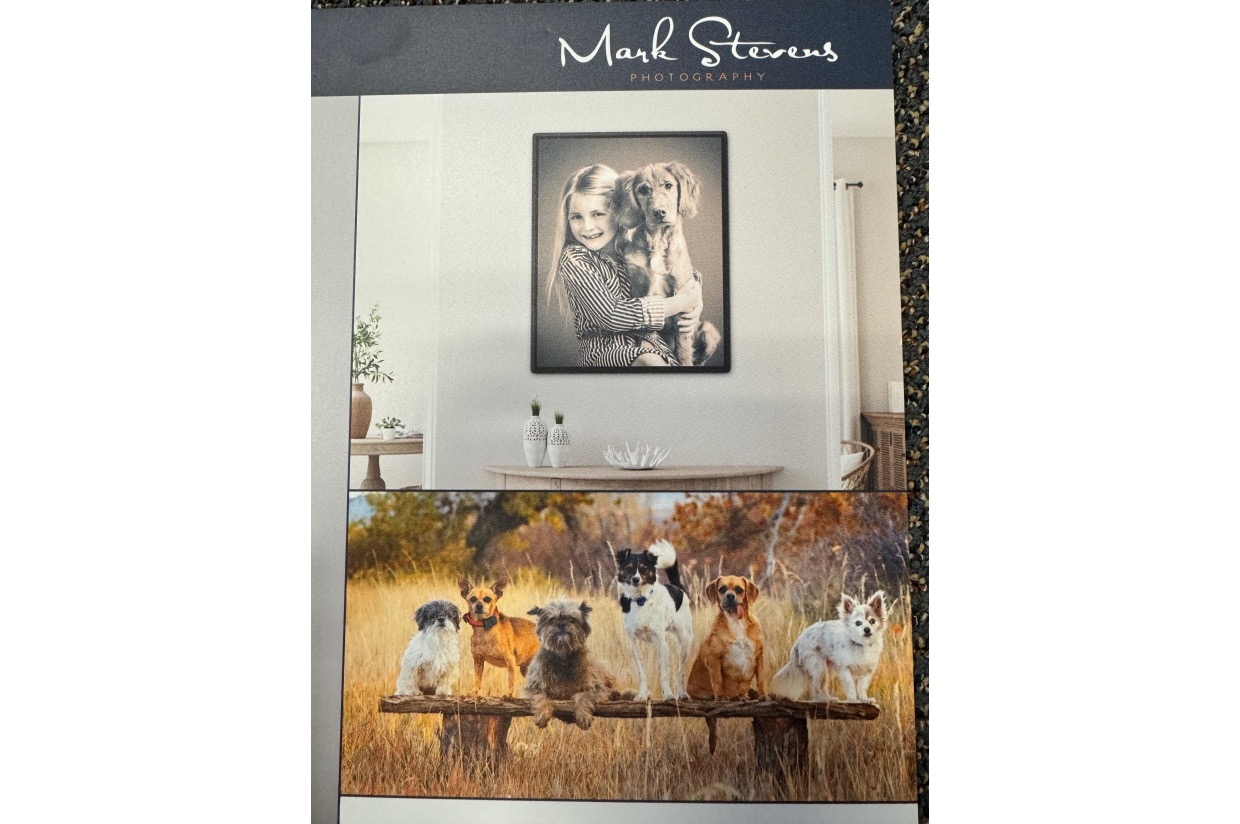 Mark Stevens Photography Signature Pet Portrait Session & Artwork ...