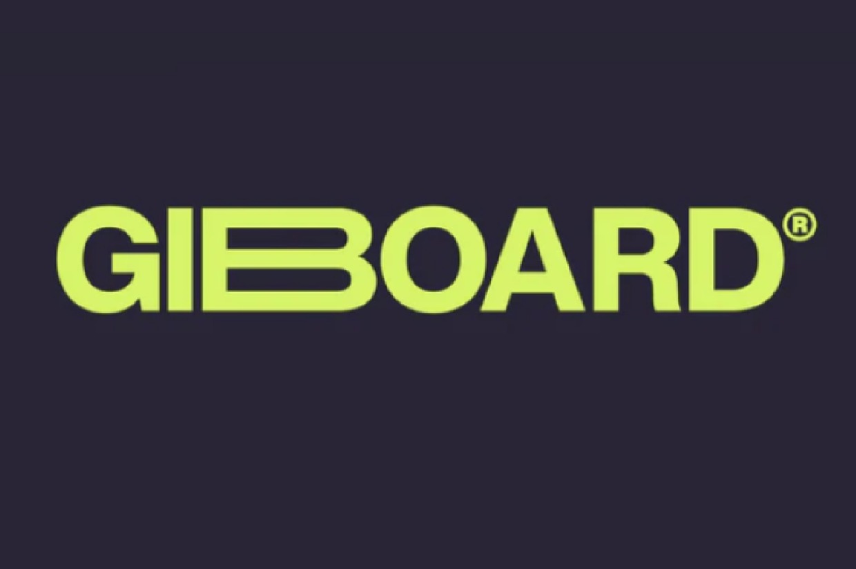 GiBoard -Balance Trainer | 2024 LCC Barn Bash Online Auction | La Costa ...