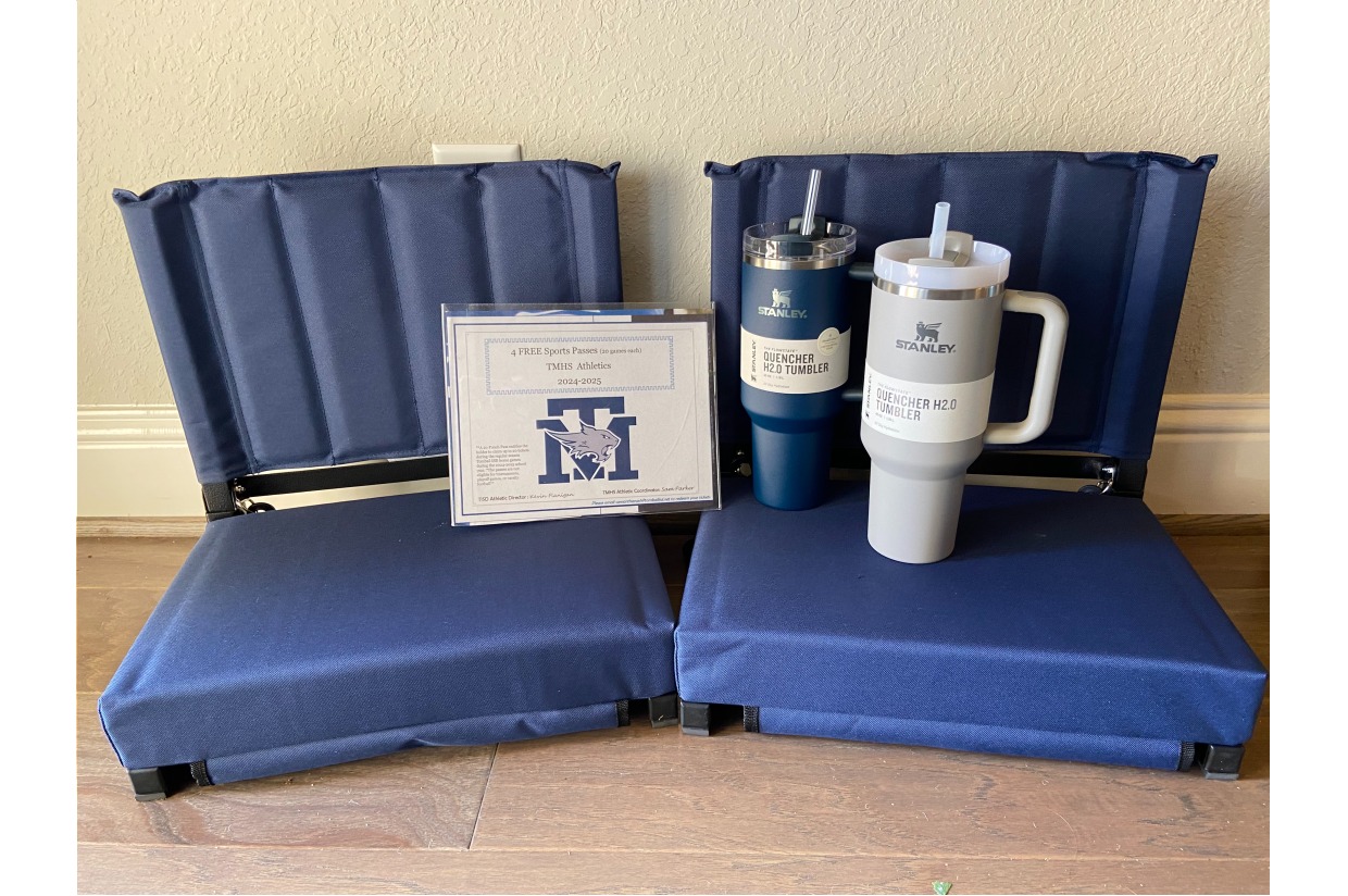 010 Wildcat Spirit | Tomball ISD Project Show 2024 Silent Auction ...