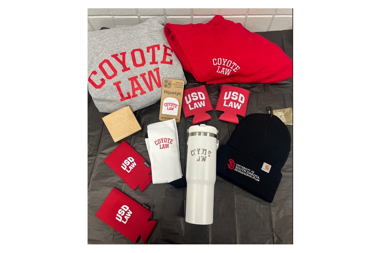 Law Swag 101 | Public Interest Network (PIN) 2025 Auction | Public ...