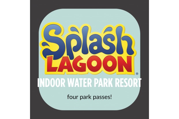 Splash Lagoon passes! | Second Annual Absolute Love Auction | Absolute ...