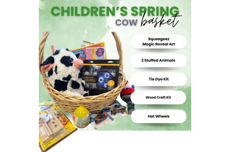 Wawa Merch Basket | Camp Innabah - Spring Online Auction | Camp Innabah ...