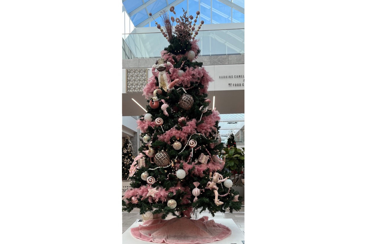 Enchanted Candyland — Trees for Hope — Phoenix Children's Foundation ...