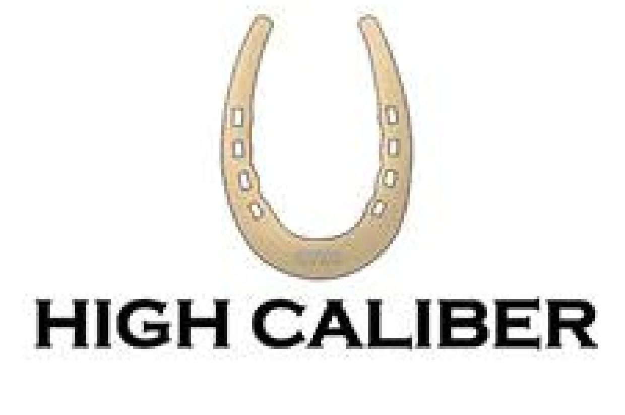 206. Learn to Ride with High Caliber Stables | Dogs on the Catwalk 2025 ...