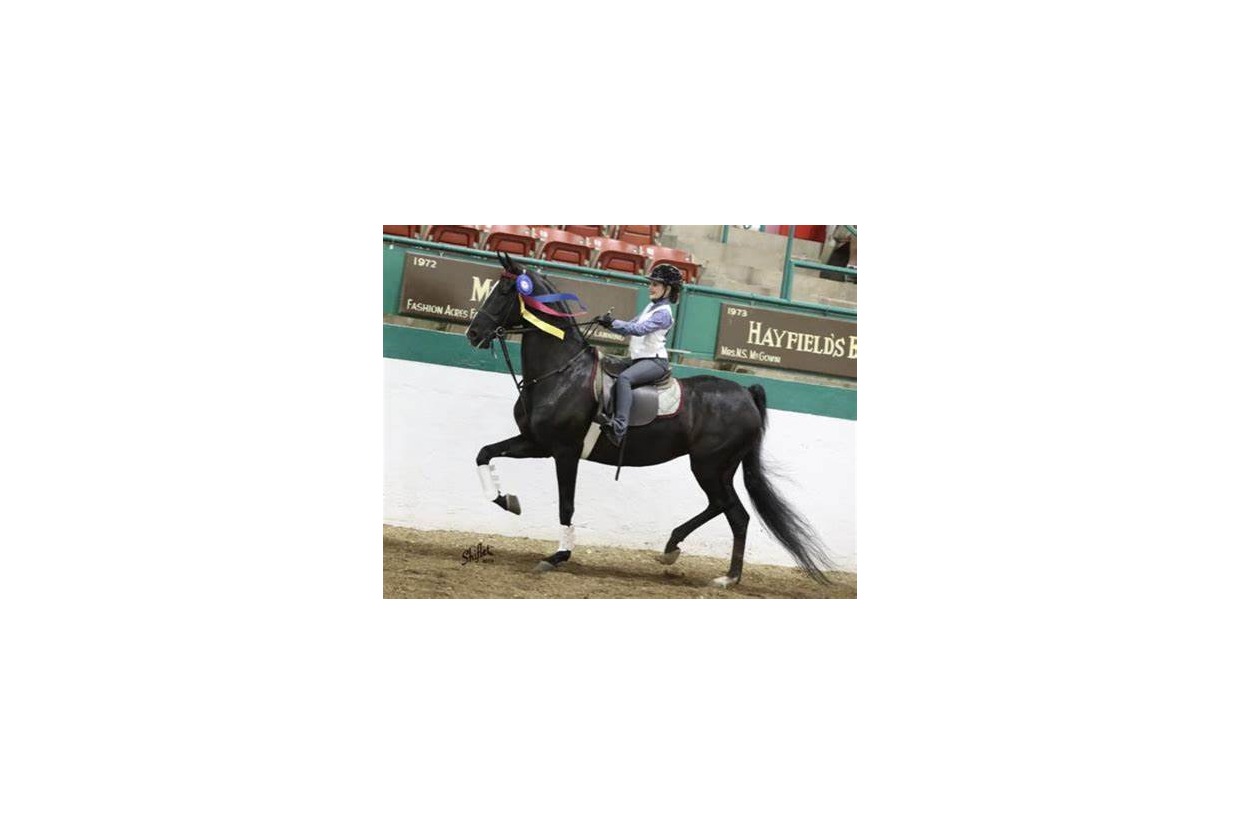 206. Learn to Ride with High Caliber Stables | Dogs on the Catwalk 2025 ...