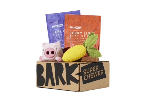 1-Month Subscription to Bark Box | 2024 Brick Silent Auction | Brick ...