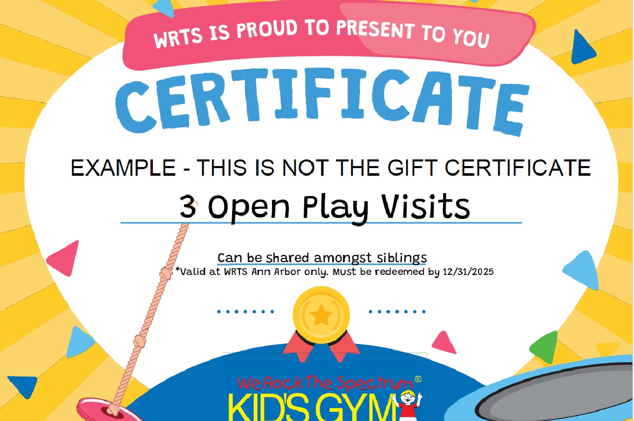 Gift Card: We Rock the Spectrum Play Gym | 2025 Brick Elementary Silent ...