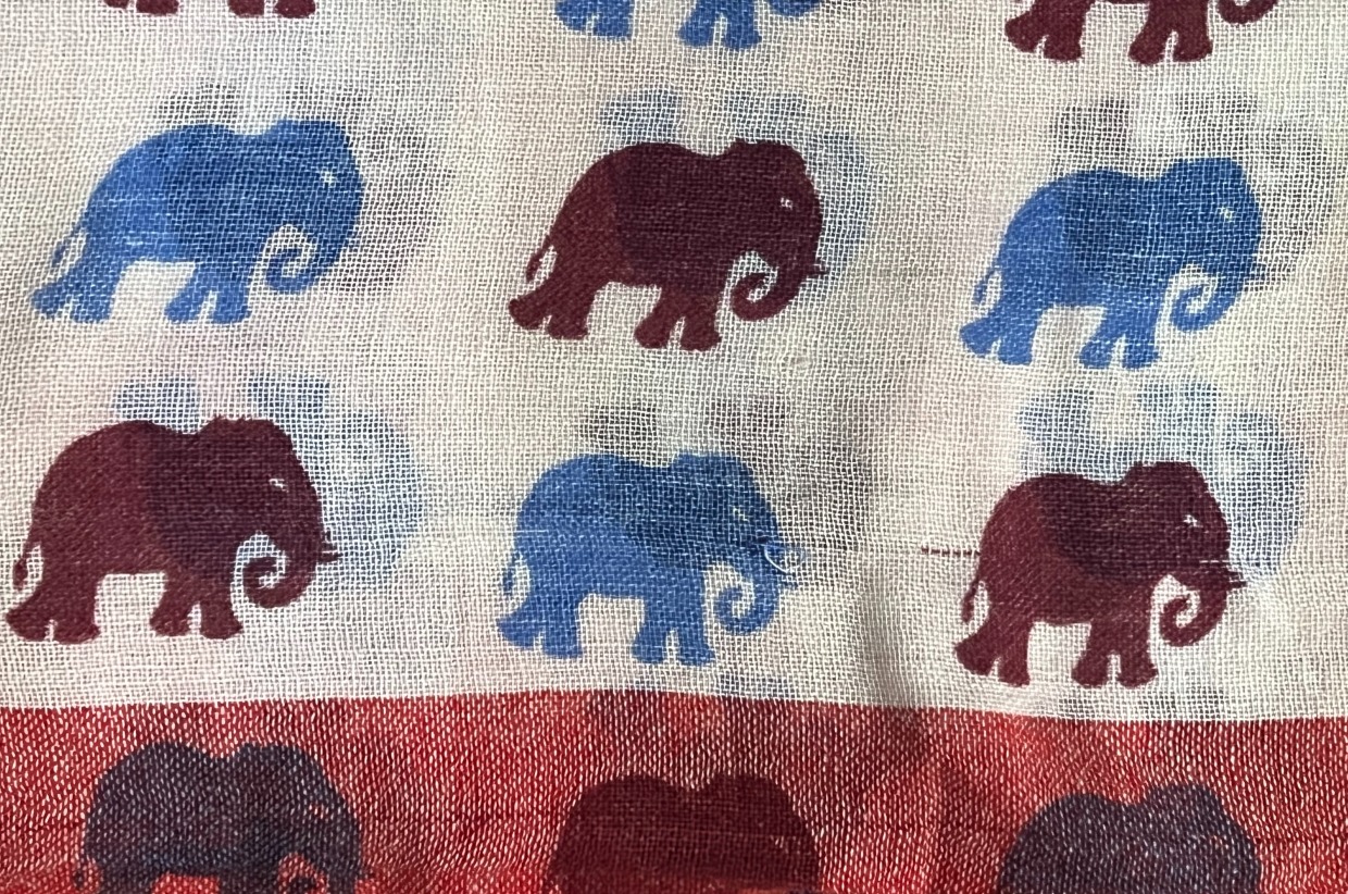 Pashmina Shawl Red Blue Elephants | Silent Auction | Education Elevated ...