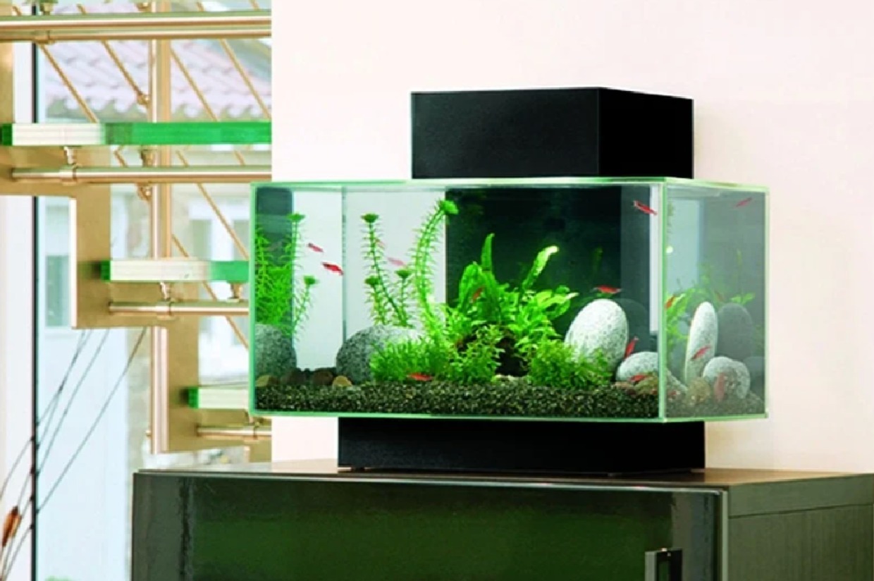 FLUVAL - Edge 6 gallon Fish Tank ($199 Value) | Friends of Short Avenue ...