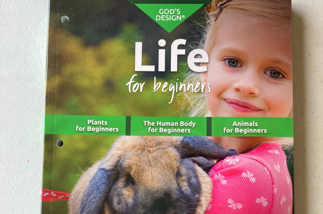 God's Design for Life: For Beginners | MACHE Silent Auction 2025 ...