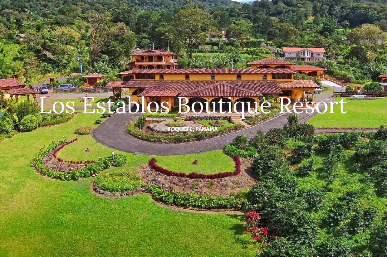 Los Establos Boutique Resort, Panama | 2025 Annual Silent Auction ...