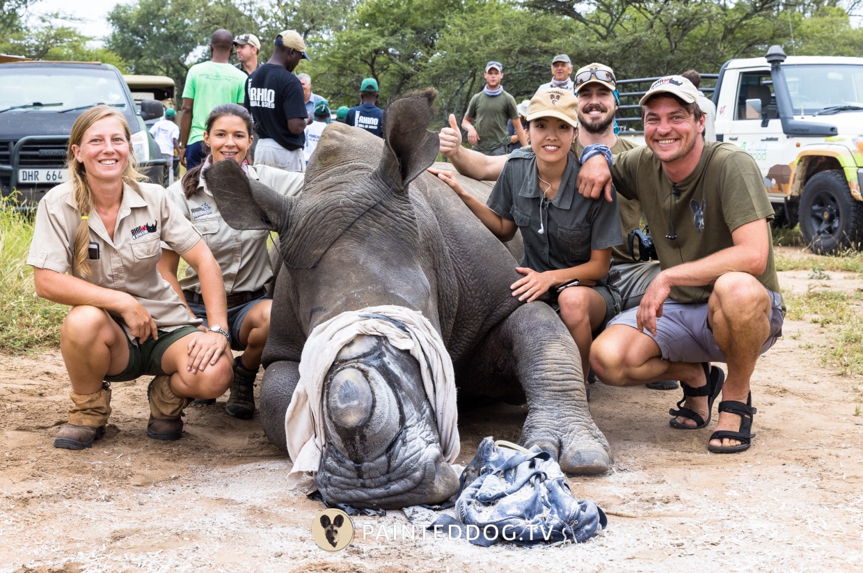 4 night stay fully inclusive safari with a rhino darting experience for ...