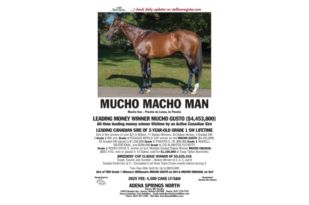 Mucho Macho Man | Banquet for Life | New Beginnings of Winchester ...