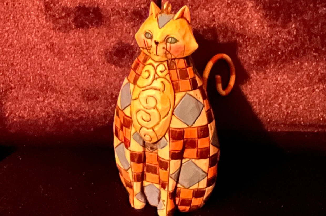 Checkered Cat | Crusade for Community Cats! | Feline Rescue | BetterWorld