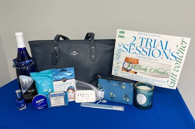 Cool Blue Coach | Posh Purse Palooza | Volunteer Transportation Center ...