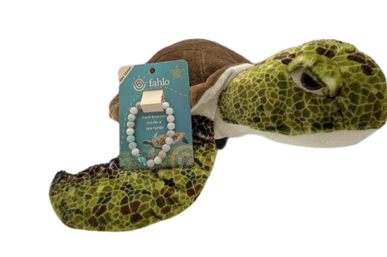 Turtle Trek | Zoolala | Buttonwood Park Zoological Society | BetterWorld