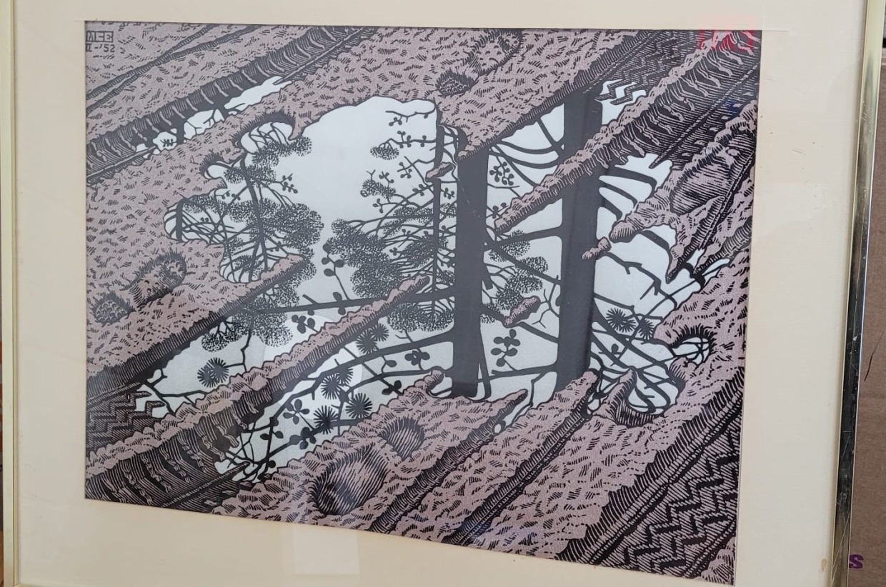 "Puddle" by M.C. Escher, framed art print | COS Winter Estate Sale and ...