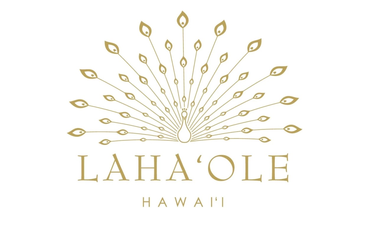 Laha'ole Hawai'i 14k Gold-Filled Naupaka Dangles | KSM Ho'olaule'a ...