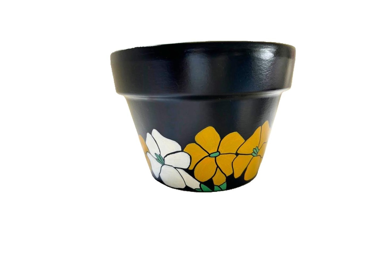 Pupule Plant Lady Plant and Hand-Painted Pot with Macrame | KSM Ho ...