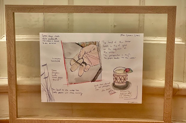 ‘Blue Grama Grass’ - by Rachael Wolfe | Josh Lux Silent Auction | Josh ...