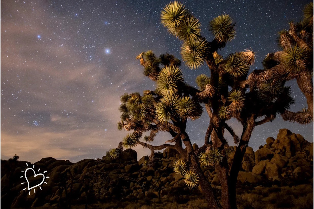 Joshua Tree Traquility | Shooting Star | On Site Foundation - Life ...