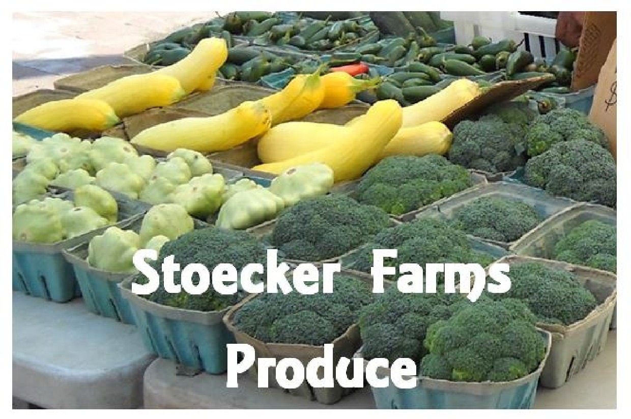 Stoecker Farms Mini Share Membership | Around the World: St. John the ...