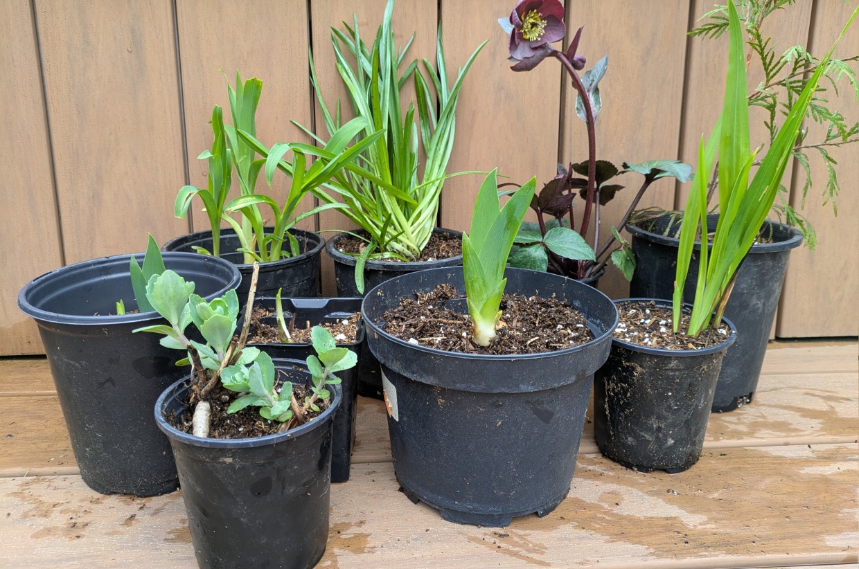 Four Seasons of Color | Rooted in Community: Mount Baker Preschool's Spring Auction | Mount ...