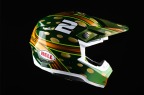 JEREMY MCGRATH HELMET | Troy Lee Designs X FELD Southern California ...