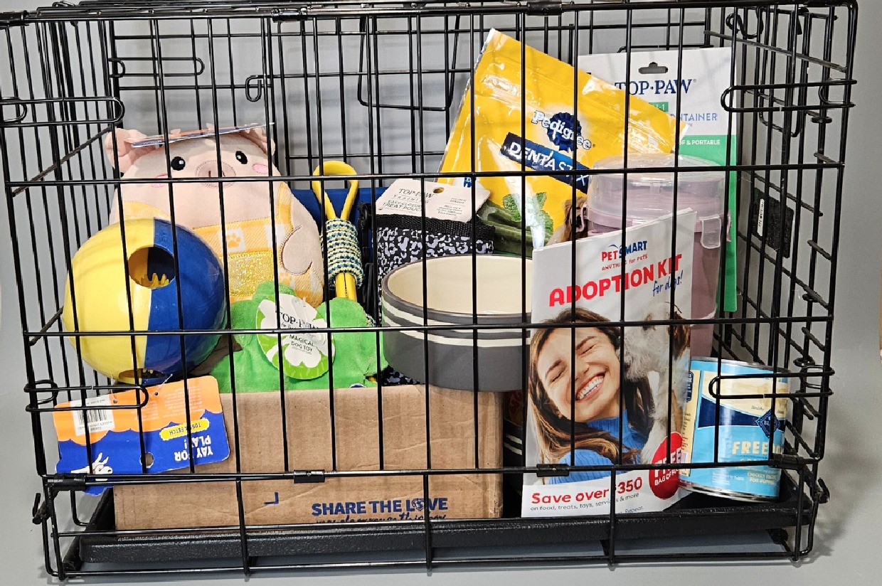 704 - Dog Adoption Kit | Homeward Bound 2025 | Longmont Humane Society ...