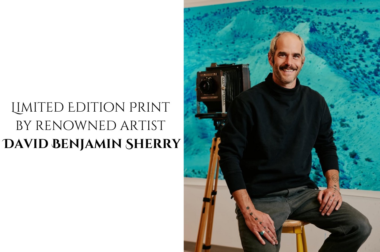 David Benjamin Sherry Limited Edition - Framed by Palm Beach Frame ...