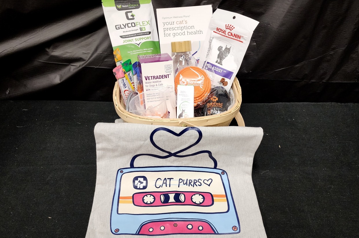 Banfield Cat Basket (36) | Wine, Kibbles & Bids 2025 | Tri-County ...