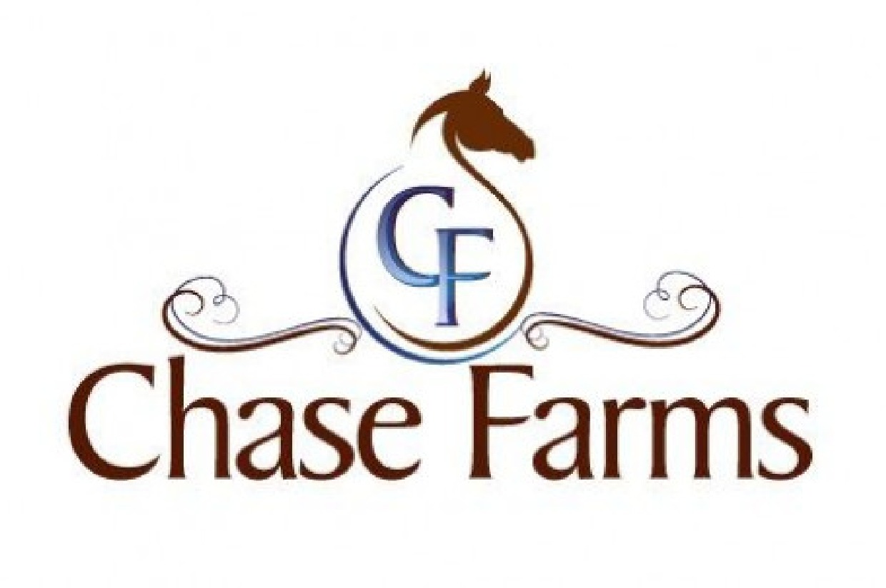 Private Horse Riding Lessons | WA Alumni Association Annual Silent ...