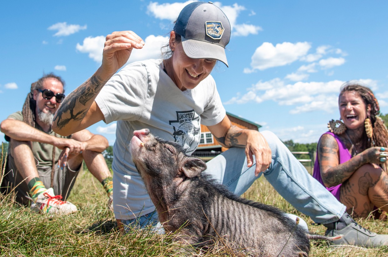 Private Tour At Lancaster Farm Sanctuary With The Founders | 2024 ...