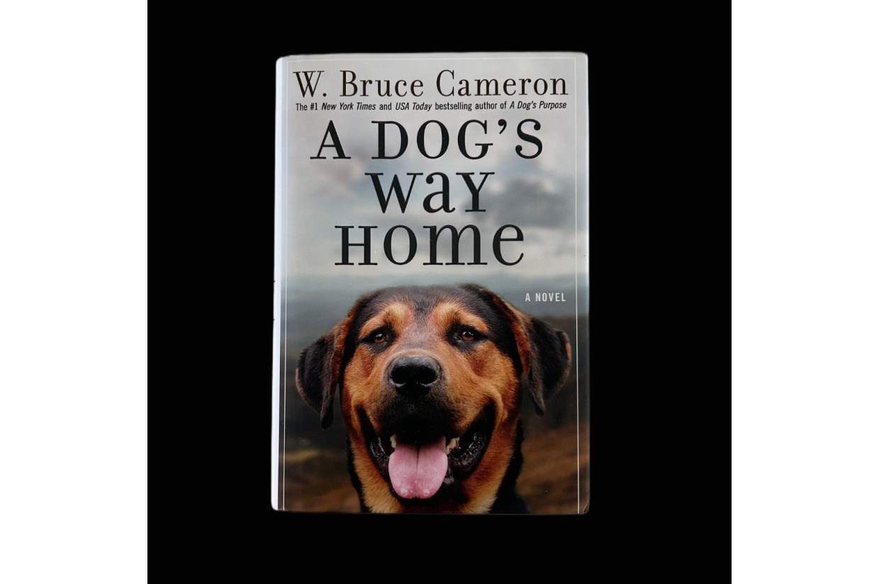 A Dog's Way Home Book | Spring Pig-nic 2024 | Iowa Farm Sanctuary ...