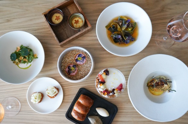 $250 of Upscale Dining at Fabrik | Doya-Palooza | Austin Farm Sanctuary ...