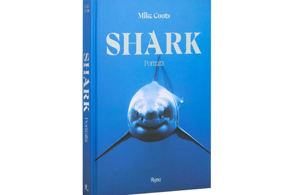 Shark: Portraites by Mike Coots with a 16x20 print of a tiger shark ...
